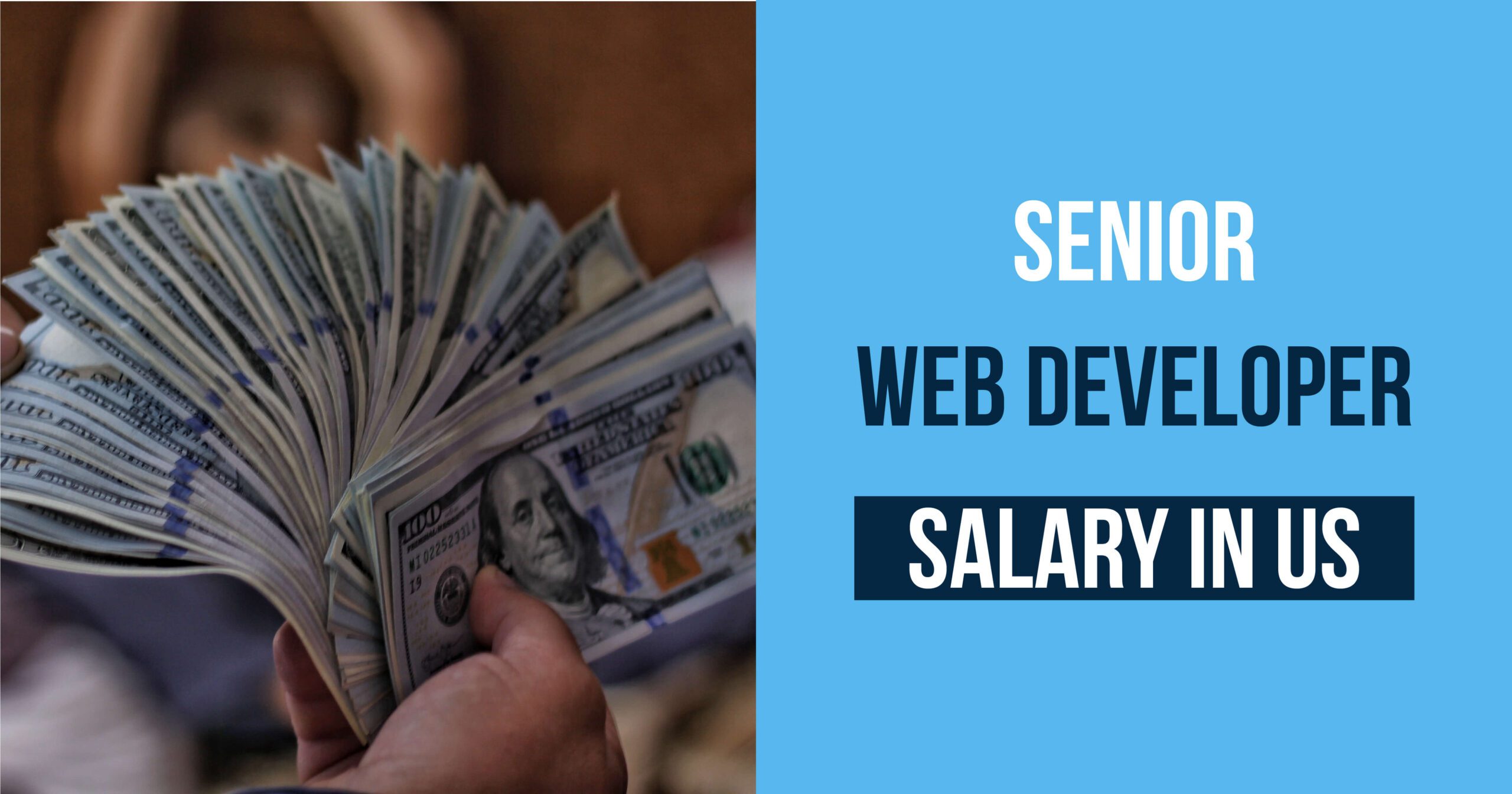 Senior Web Development Expert Salary In The US 2023